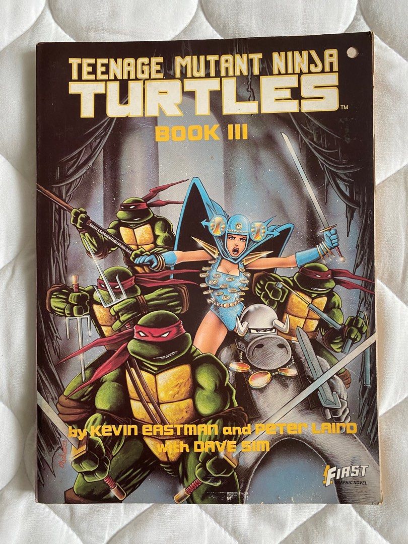 TMNT First graphic novel 1,2 &3, Hobbies & Toys, Books & Magazines ...