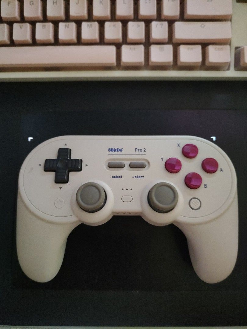 8BitDo Pro2 Controller, Video Gaming, Gaming Accessories, Controllers ...