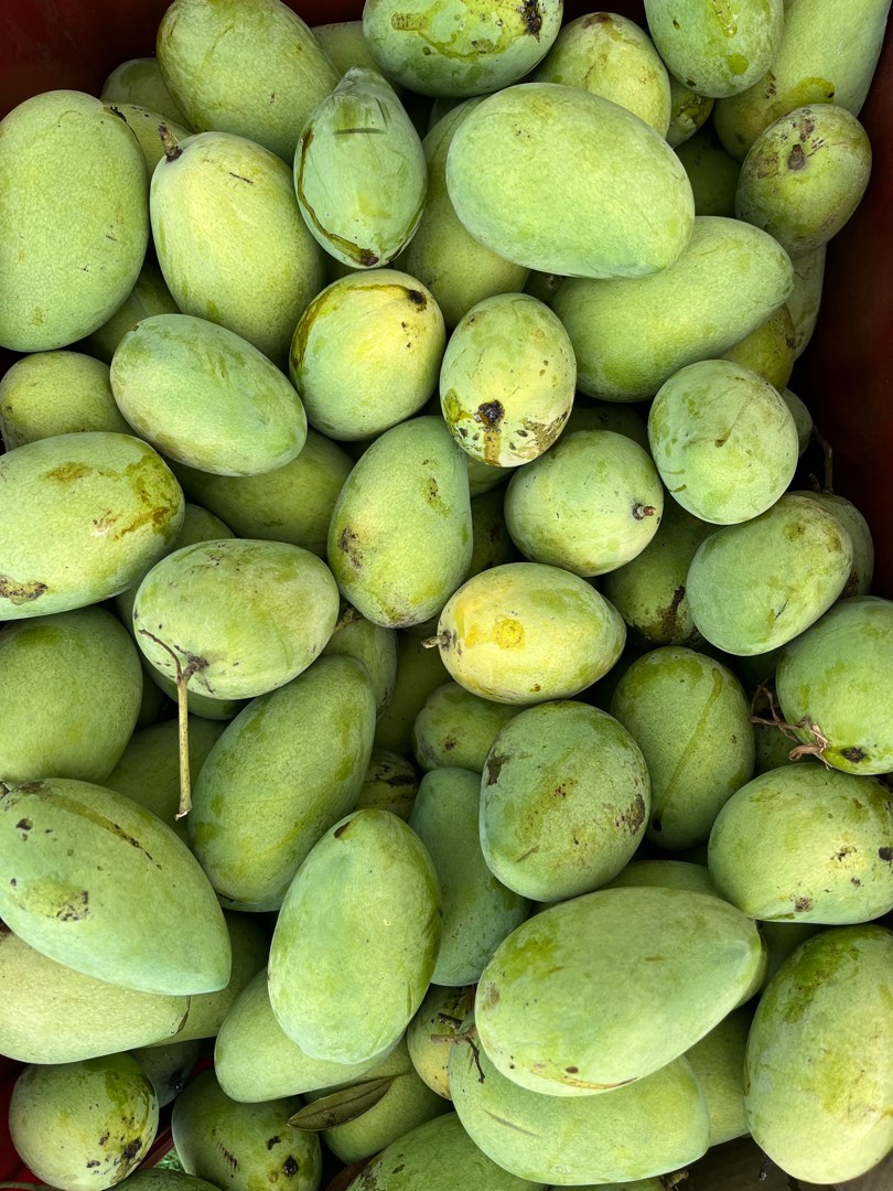 🥭 Mangga PIKO, Food & Drinks, Fresh Produce on Carousell