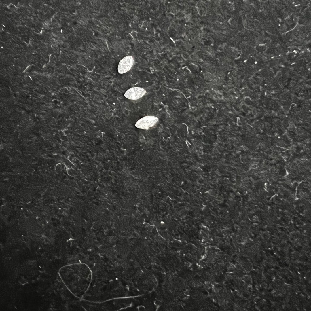 Berlian markis, Fesyen Wanita, Perhiasan di Carousell