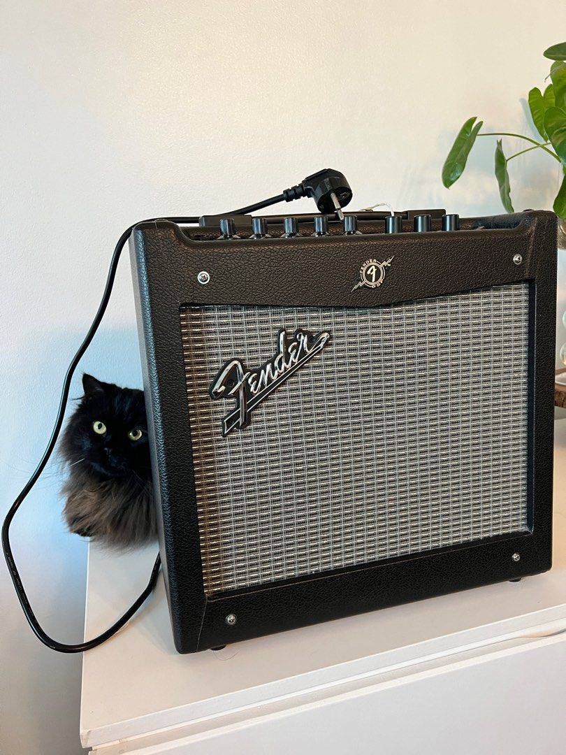 Fender Amplifier, Audio, Soundbars, Speakers & Amplifiers on Carousell