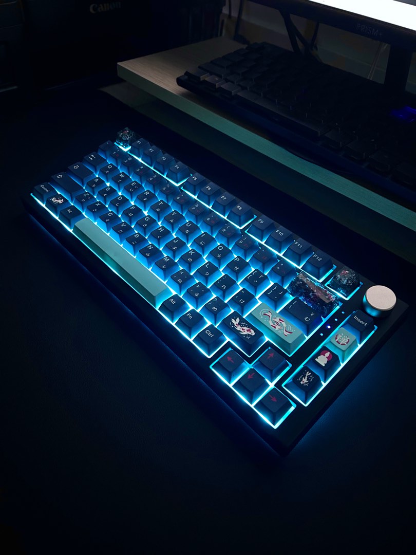 75% Custom Mechanical Keyboard (Koi Keycaps + Artisan Koi keycaps) - Fully modded - Tri mode ...