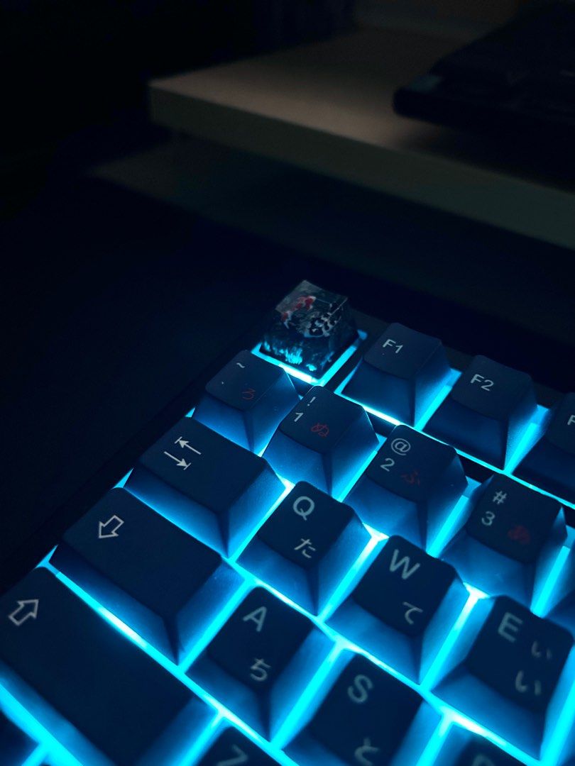 75% Custom Mechanical Keyboard (Koi Keycaps + Artisan Koi keycaps ...