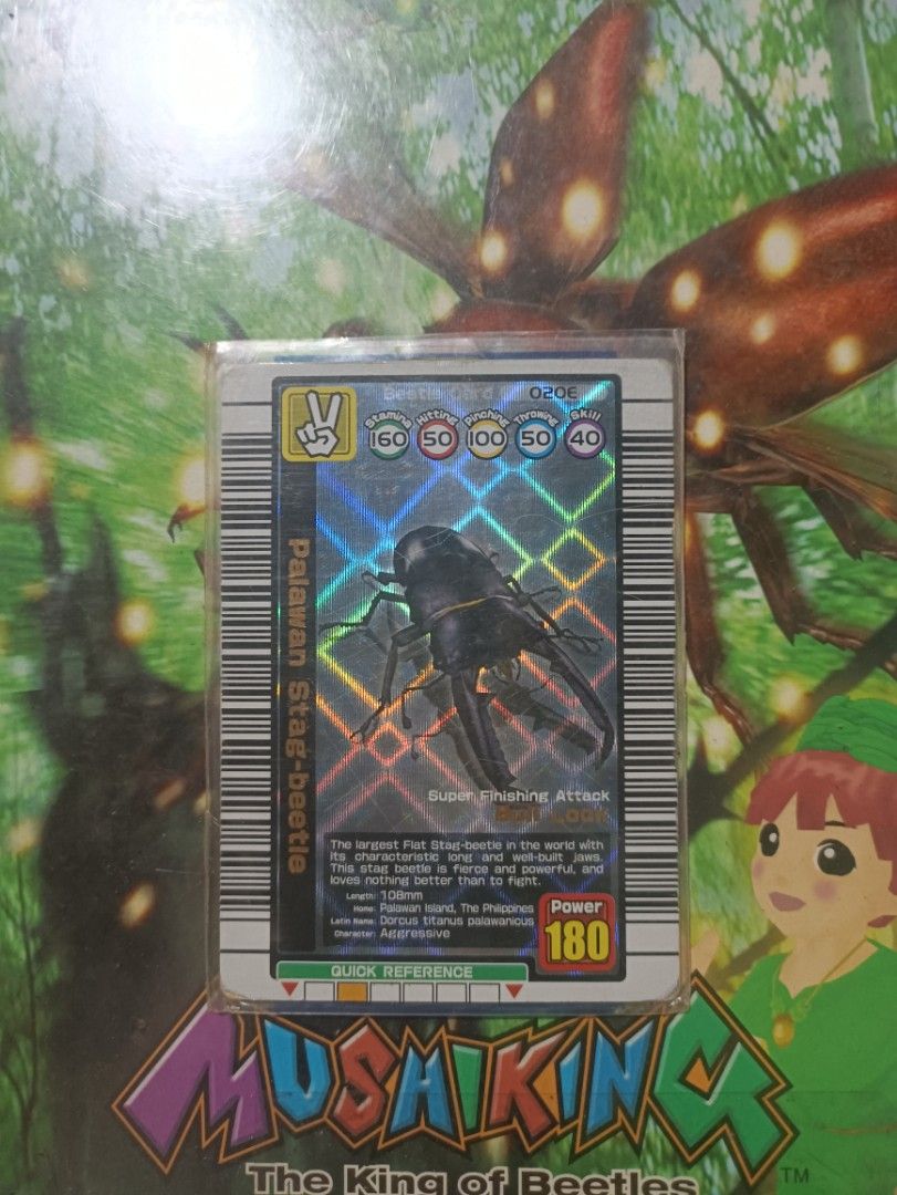 Palawan Stag-beetle Mushiking Card, Hobbies & Toys, Memorabilia ...
