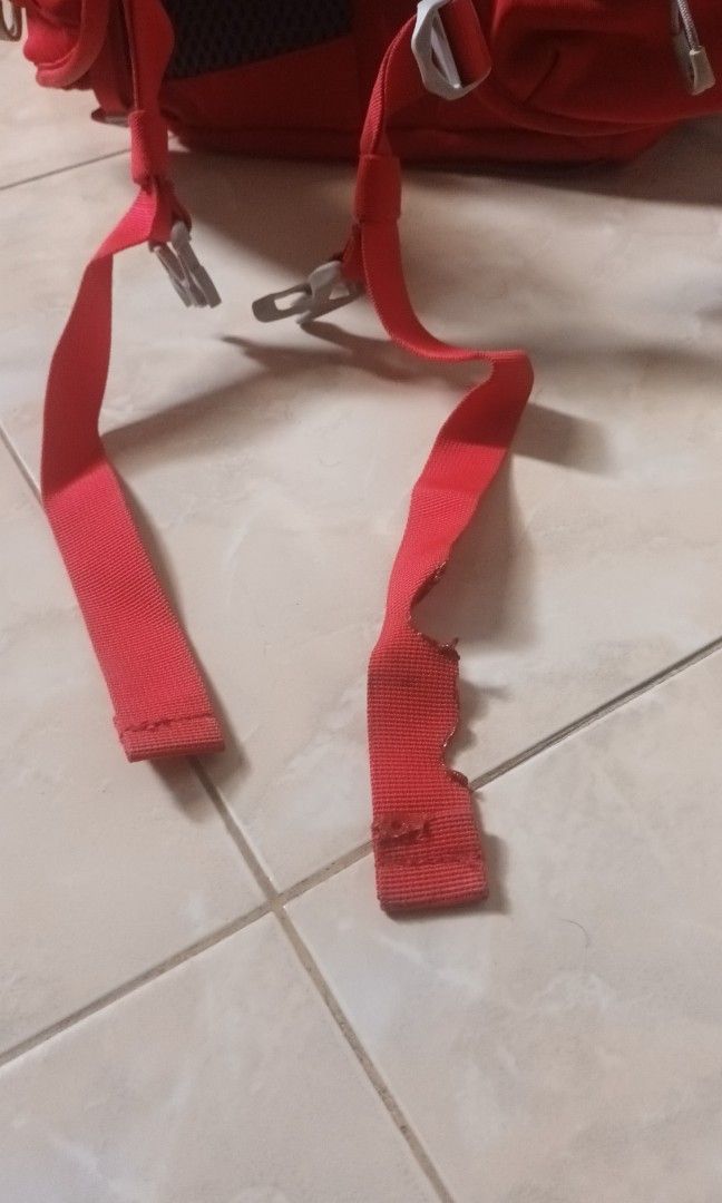 EIGER Carrier PATH 35+5 L Aerovoid Setara 45L Merah, Fesyen Pria, Tas ...