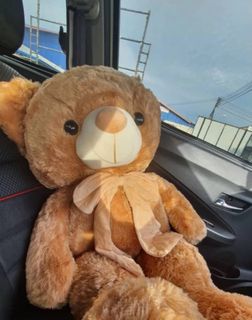 Patung beruang besar teddy bear comel, Hobbies & Toys, Toys & Games on ...