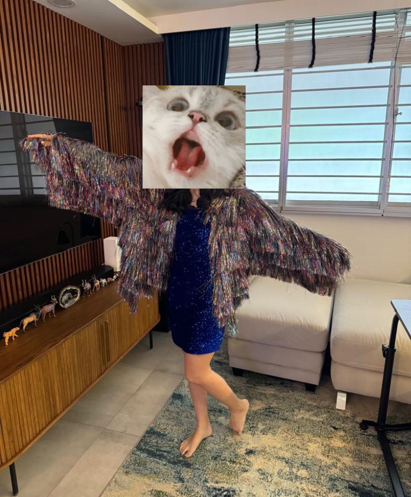 DIY Taylor Swift Karma Tinsel Jacket - Concert Outfit, Women's Fashion ...