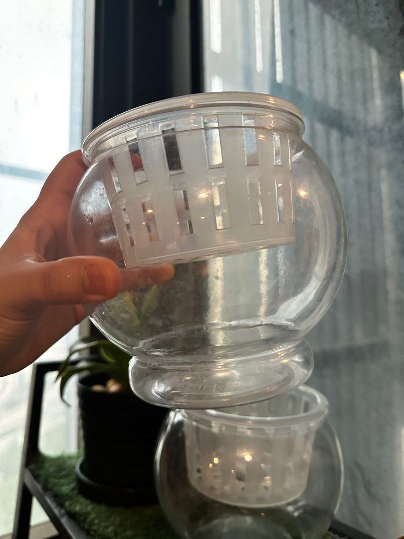 2 unit Bekas indoor plant / bekas ikan, Furniture & Home Living ...