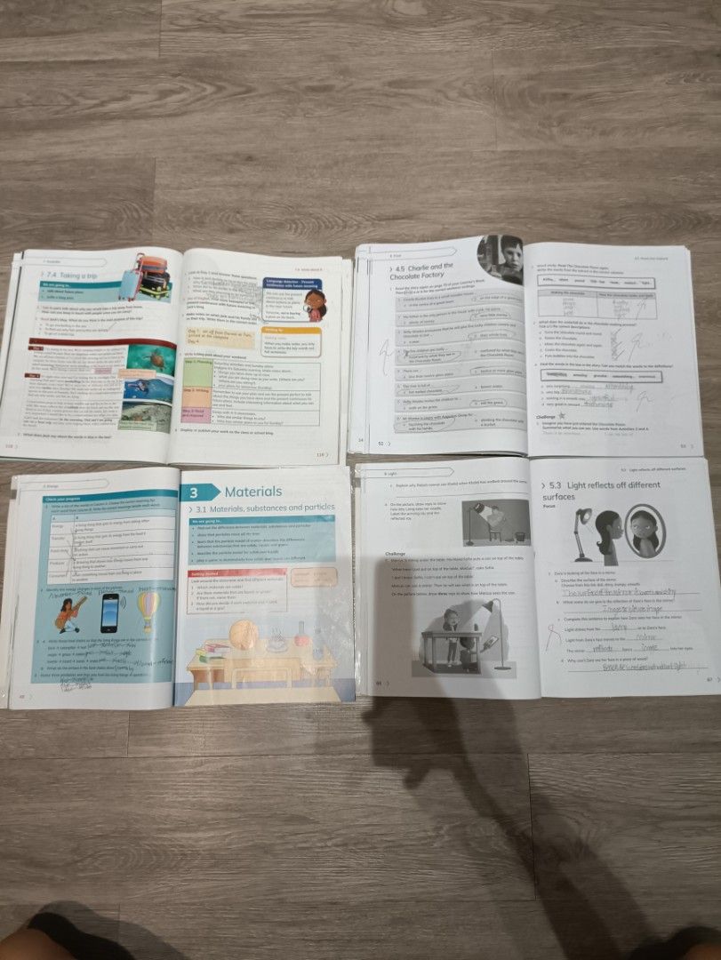 CAMBRIDGE GLOBAL ENGLISH LEARNER'S BOOK WORKBOOK 4 JANE BOYLAN AND ...