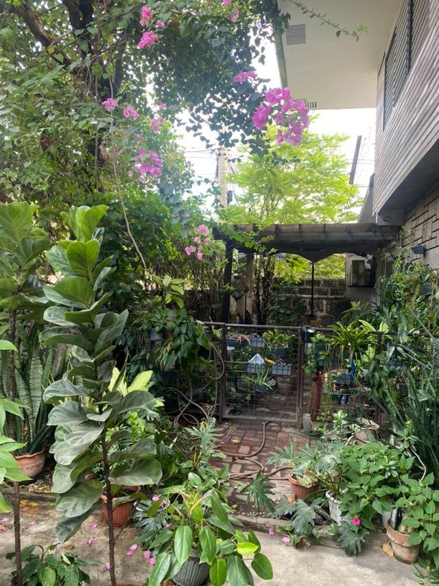 Old House and Lot in Project 7, Quezon City, Property, For Sale, House ...