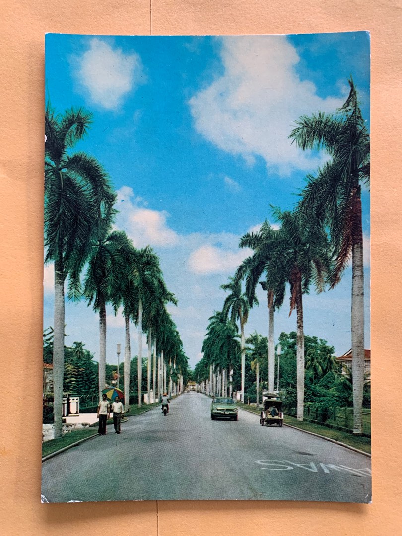 Peel Avenue PENANG Postcard, Hobbies & Toys, Collectibles & Memorabilia ...