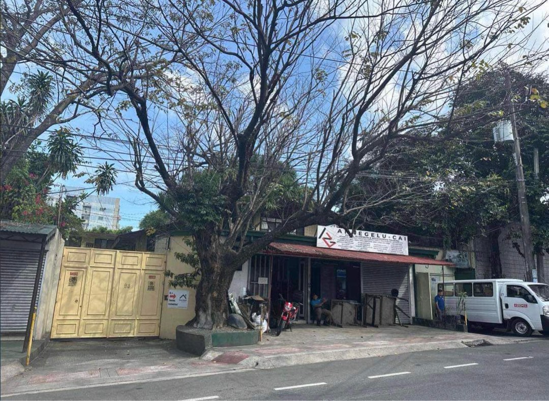 House & Lot for Sale in the Philippines | Property for Sale | Carousell