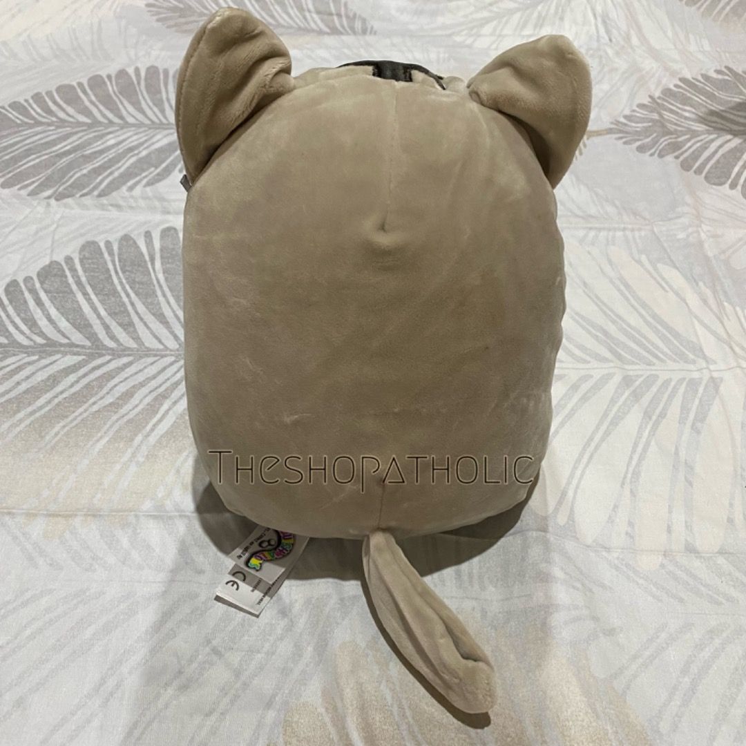 Squishmallows Tally Cat Kitten Plush, Hobbies & Toys, Toys & Games on ...