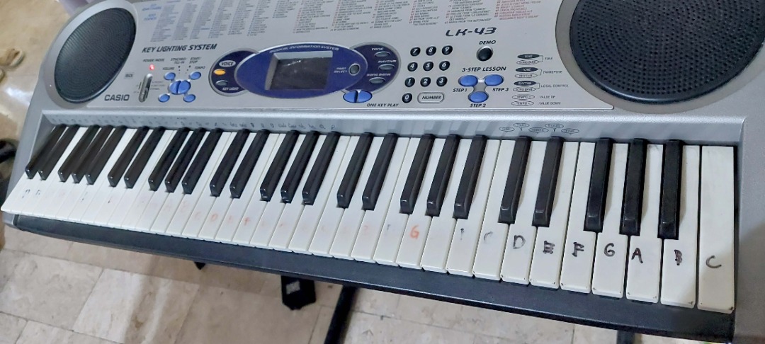 Casio LK-43 Lighted Keyboard, Hobbies & Toys, Music & Media, Musical ...
