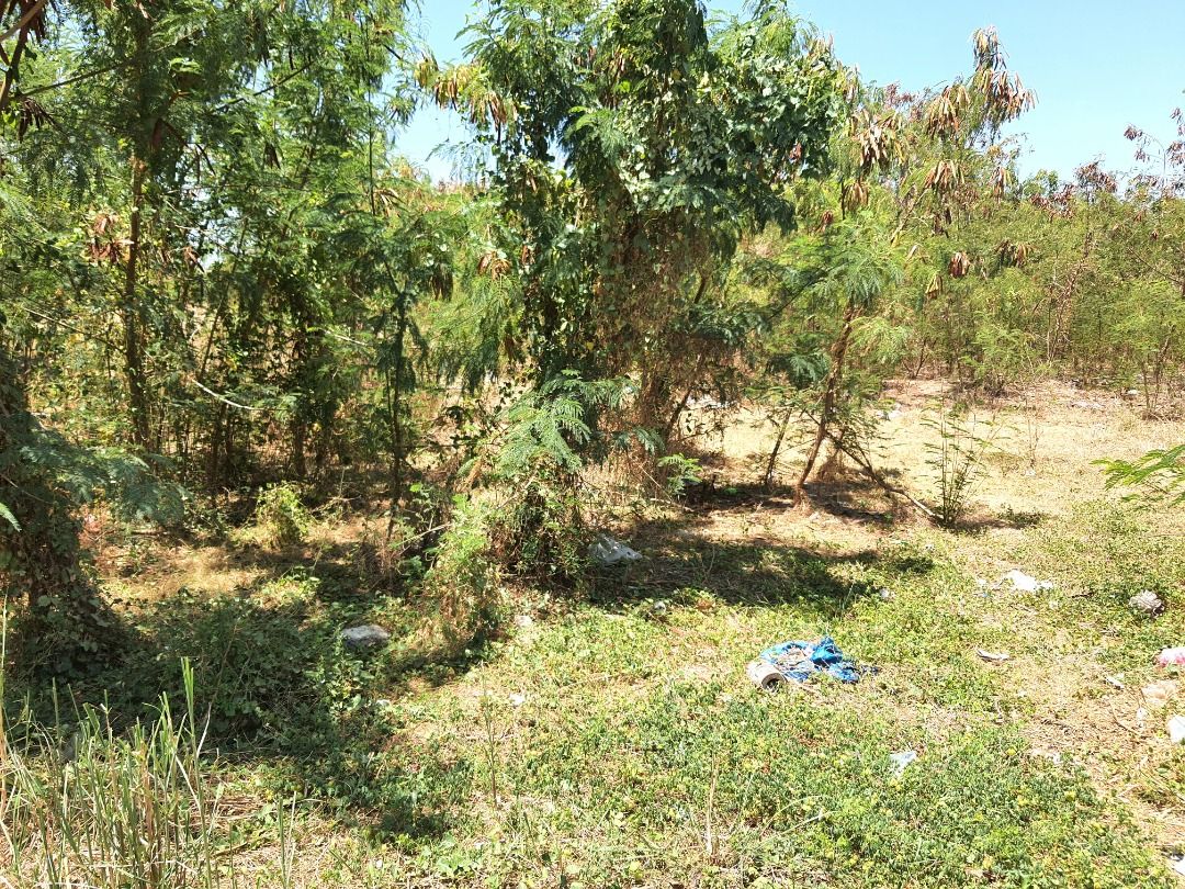For Lease Rent Gen Trias near EPZA Cavite Economic Zone Industrial ...