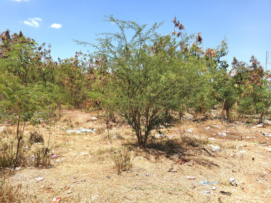 For Lease Rent Gen Trias near EPZA Cavite Economic Zone Industrial ...