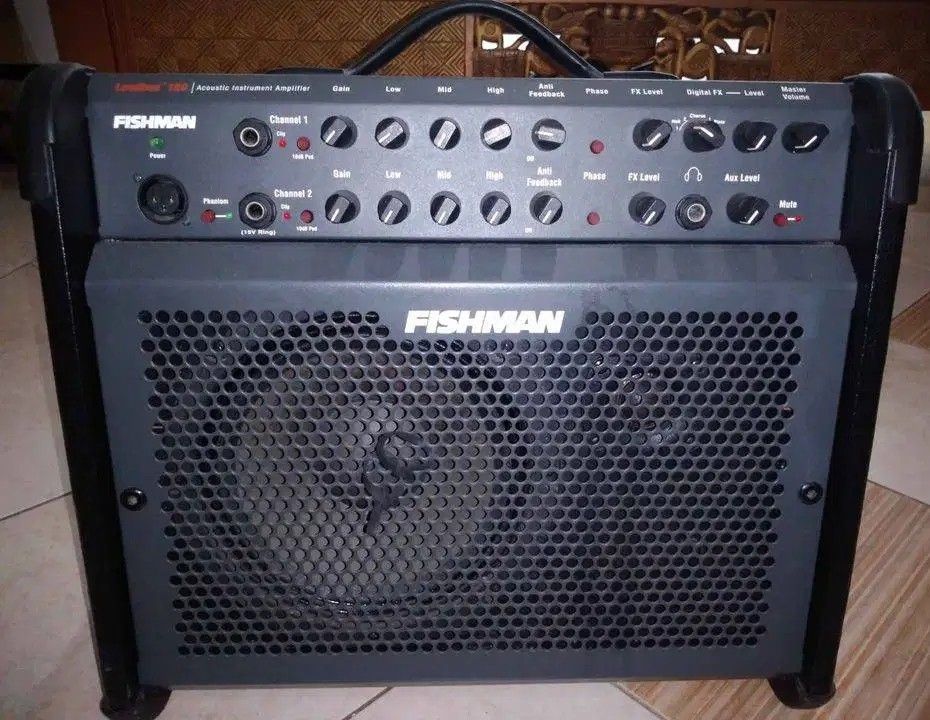 Fishman Loudbox 100 Amplifier, Musik & Media, Alat di Carousell