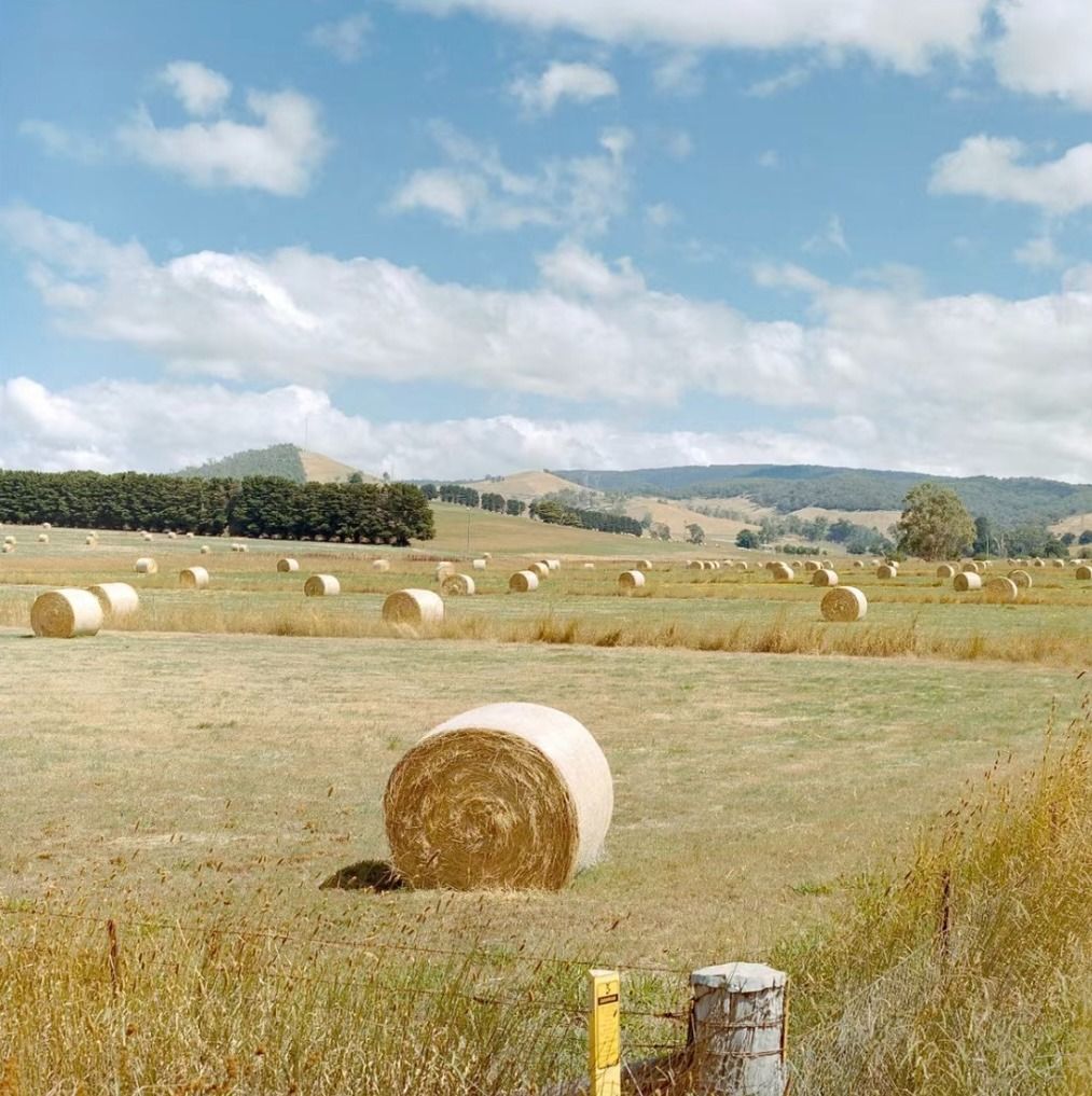 Kodak Portra 400 120 菲林 Film Exp.27/04 柯達 膠卷 Fujifilm, 攝影器材, 攝影配件, 其他攝影 ...