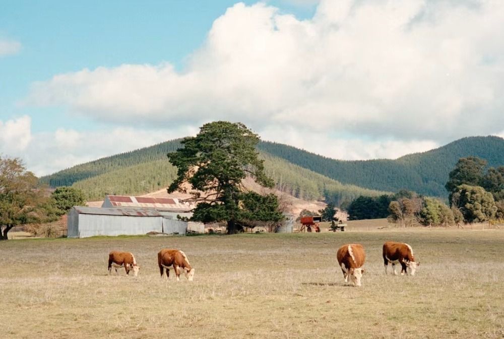 Kodak Portra 400 120 菲林 Film Exp.27/04 柯達 膠卷 Fujifilm, 攝影器材, 攝影配件, 其他攝影 ...