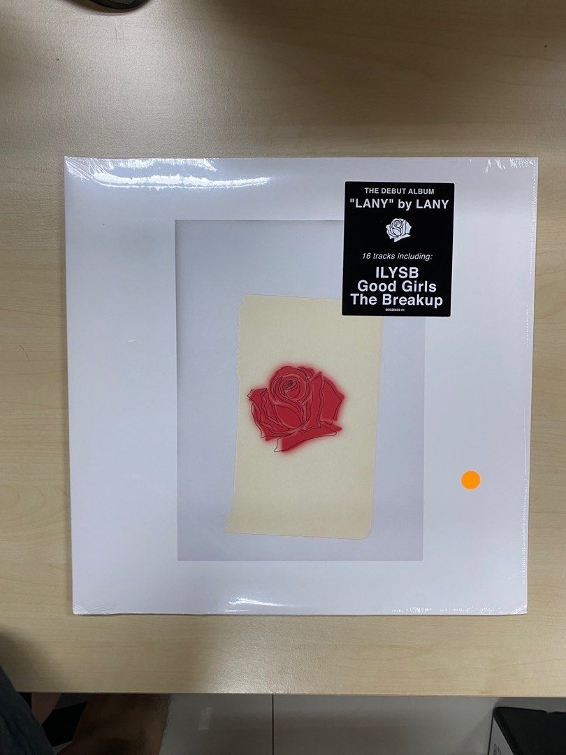LANY - LANY Vinyl ( 2 LP ), Hobbies & Toys, Music & Media, Vinyls on Carousell