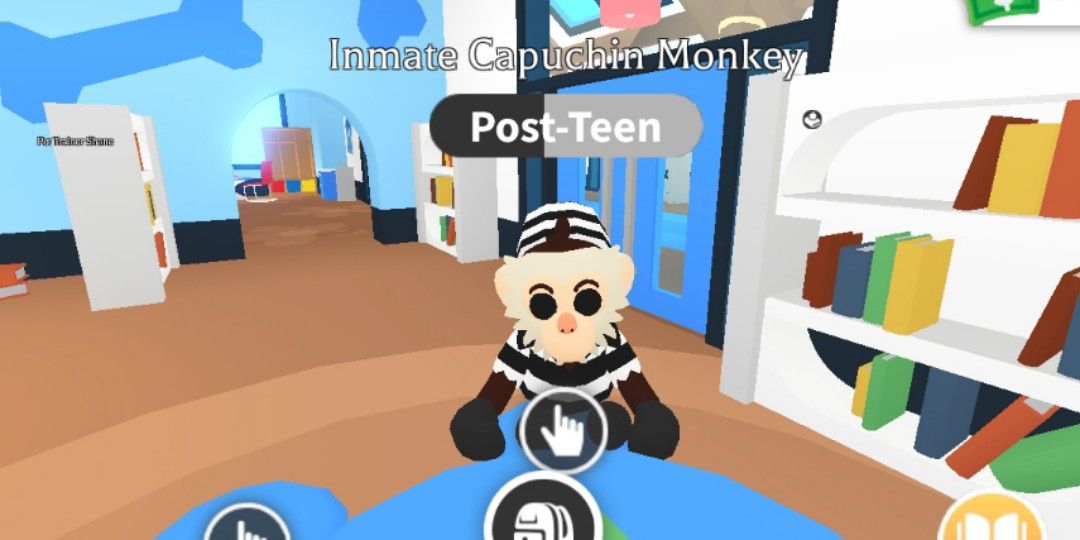 ADOPT ME INMATE CAPUCHIN MONKEY, Video Gaming, Gaming Accessories, In ... ADOPT ME INMATE CAPUCHIN MONKEY, Video Gaming, Gaming Accessories, In ...