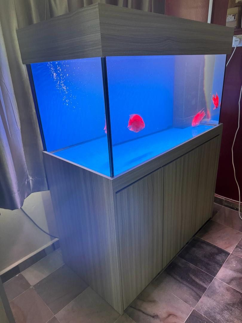 Aquarium cabinet fish tank, Furniture & Home Living, Outdoor Furniture ...