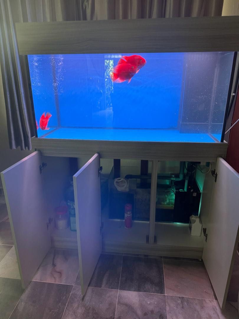 Aquarium cabinet fish tank, Furniture & Home Living, Outdoor Furniture ...