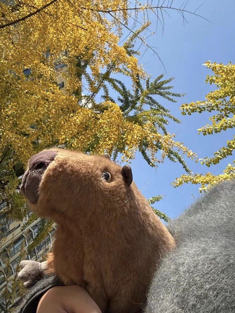 Pre order: Jellycat Capybara genuine Clyde Capybara Plush Toy Cute ...