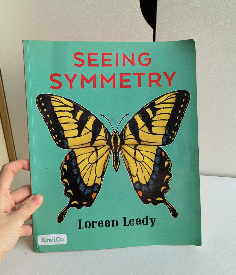Seeing Symmetry As is, Hobbies & Toys, Books & Magazines, Children's Books on Carousell
