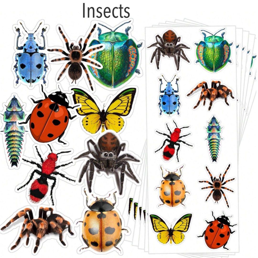 5 Sheets Insects 10 patterns Reward Motivational Stickers, Hobbies ...