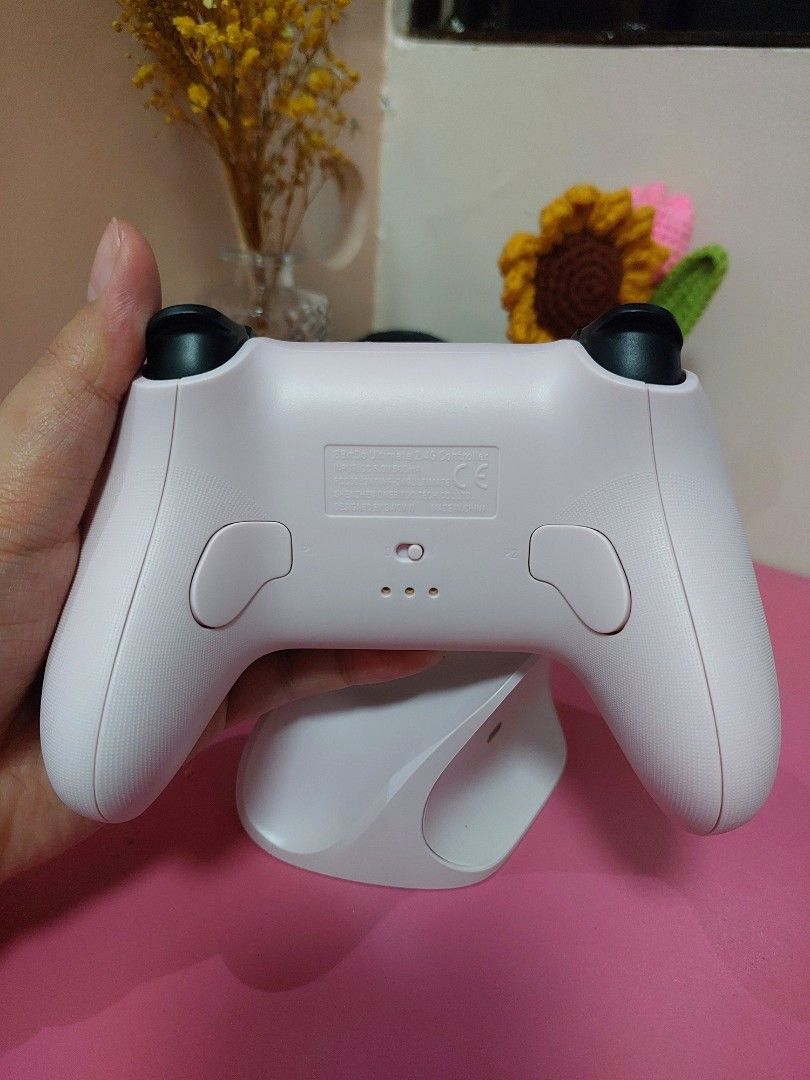 8BITDO CONTROLLER, Video Gaming, Gaming Accessories, Controllers on ...