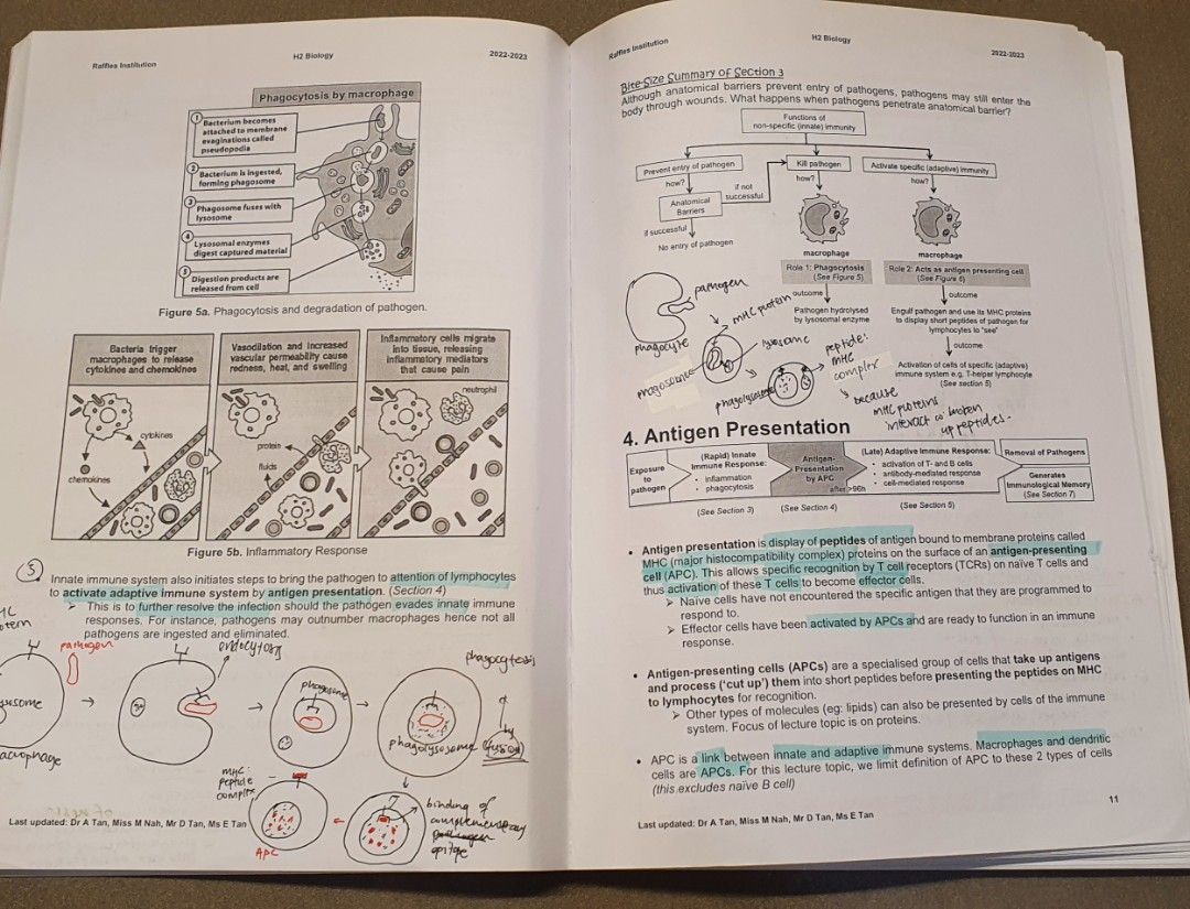 A Level H2 Biology Full Lecture Notes & Concise topical summaries ...