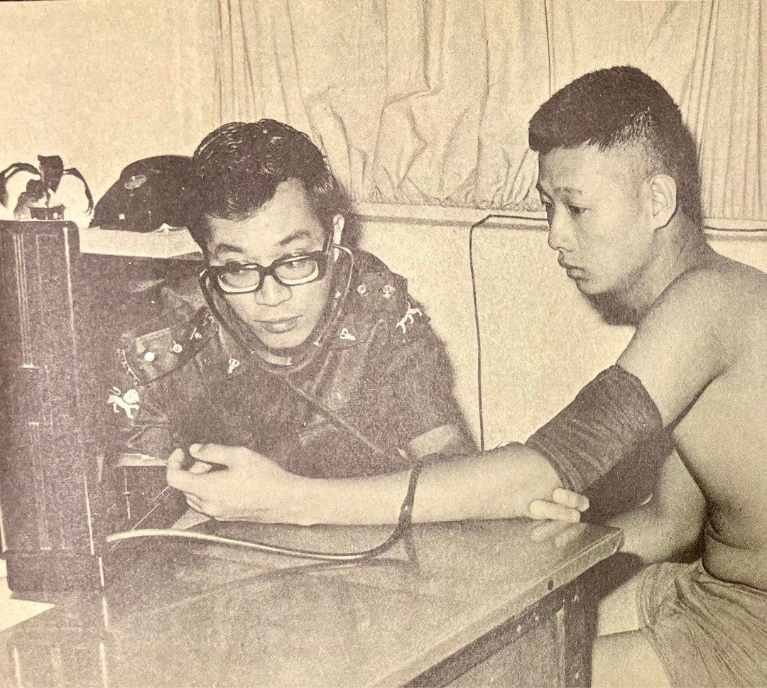 Vintage Obsolete Singapore Badge People’s Defence Force PDF Lion 1970s ...