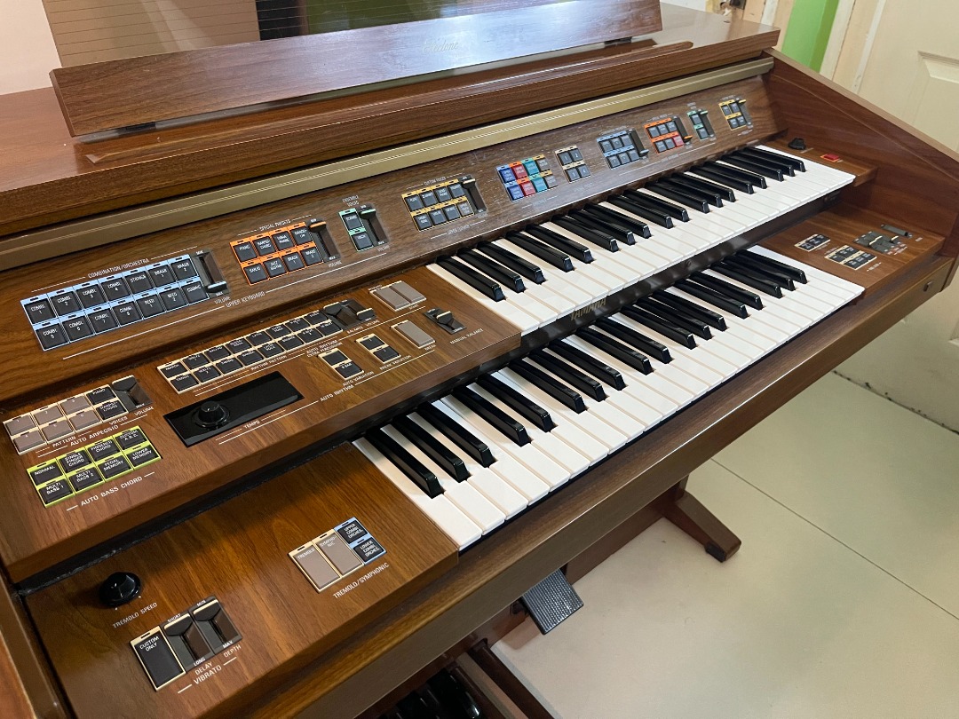 Yamaha Electone FE-50, Hobbies & Toys, Music & Media, Musical ...