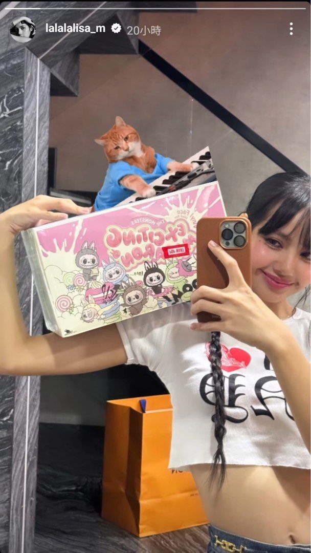 Popmart labubu 一套全新塑封盲盒公仔掛件 Black Pink Lisa Lalisa Jennie Rose Jisoo ...