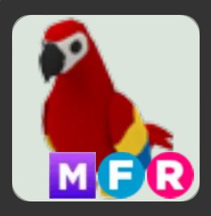 Affordable "adopt me parrot" For Sale | Carousell Malaysia