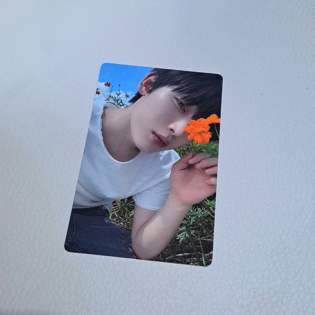 Enhypen Sunoo Official Photocards, Hobbies & Toys, Memorabilia ...