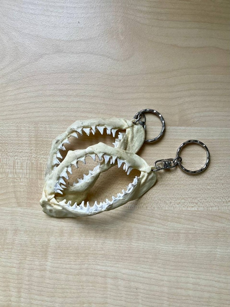 Jaws Flex Keychain, Hobbies & Toys, Collectibles & Memorabilia, Fan ...