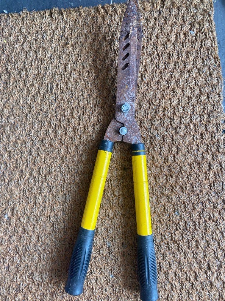 Big plant cutter ( gunting pokok), Furniture & Home Living, Gardening ...