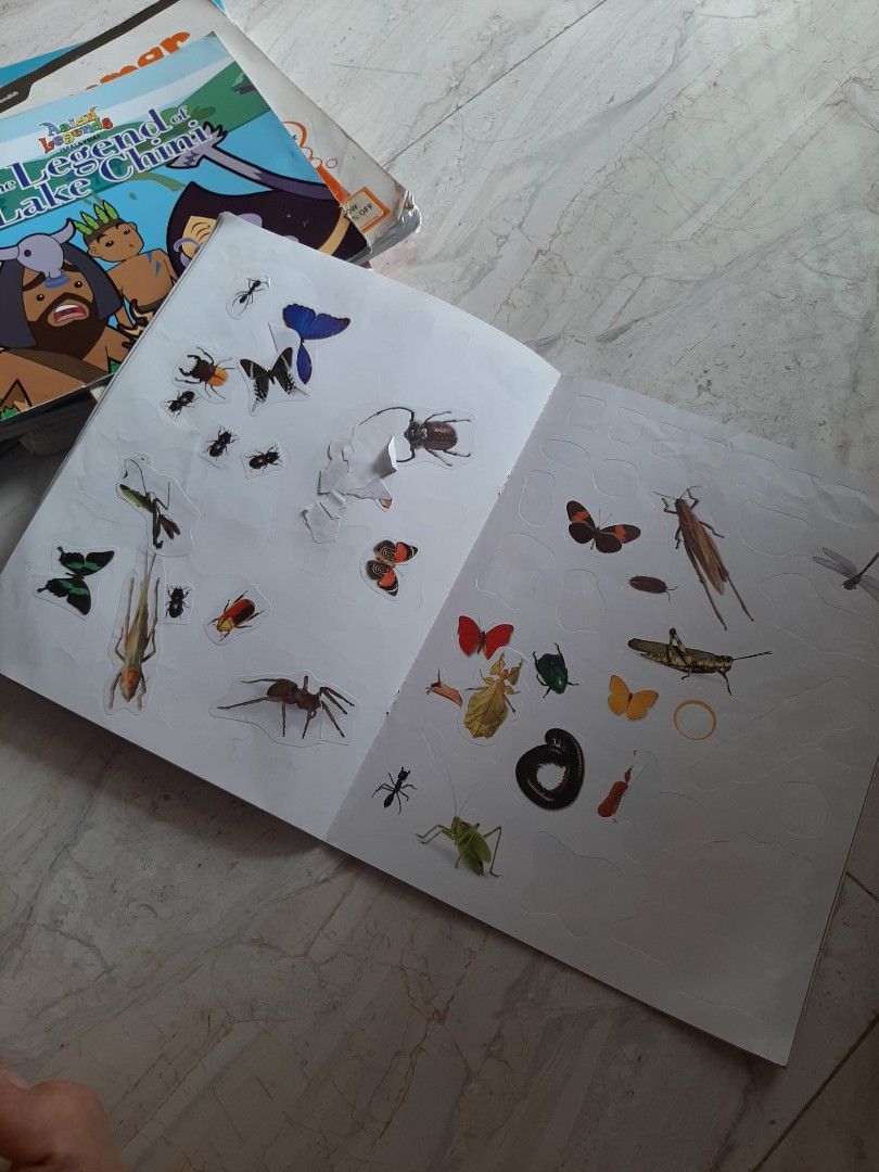 Buku insects bugs, Buku & Alat Tulis, Buku Anak-Anak di Carousell