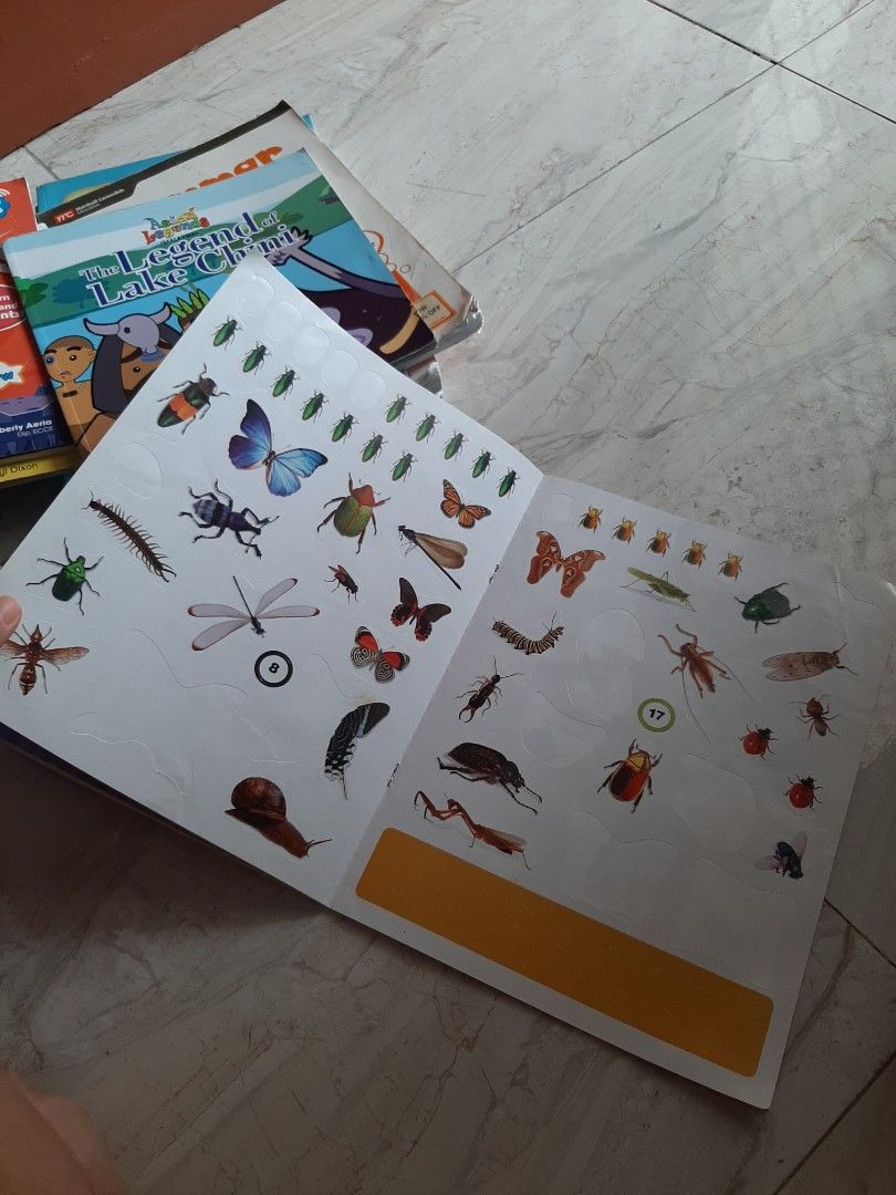 Buku insects bugs, Buku & Alat Tulis, Buku Anak-Anak di Carousell