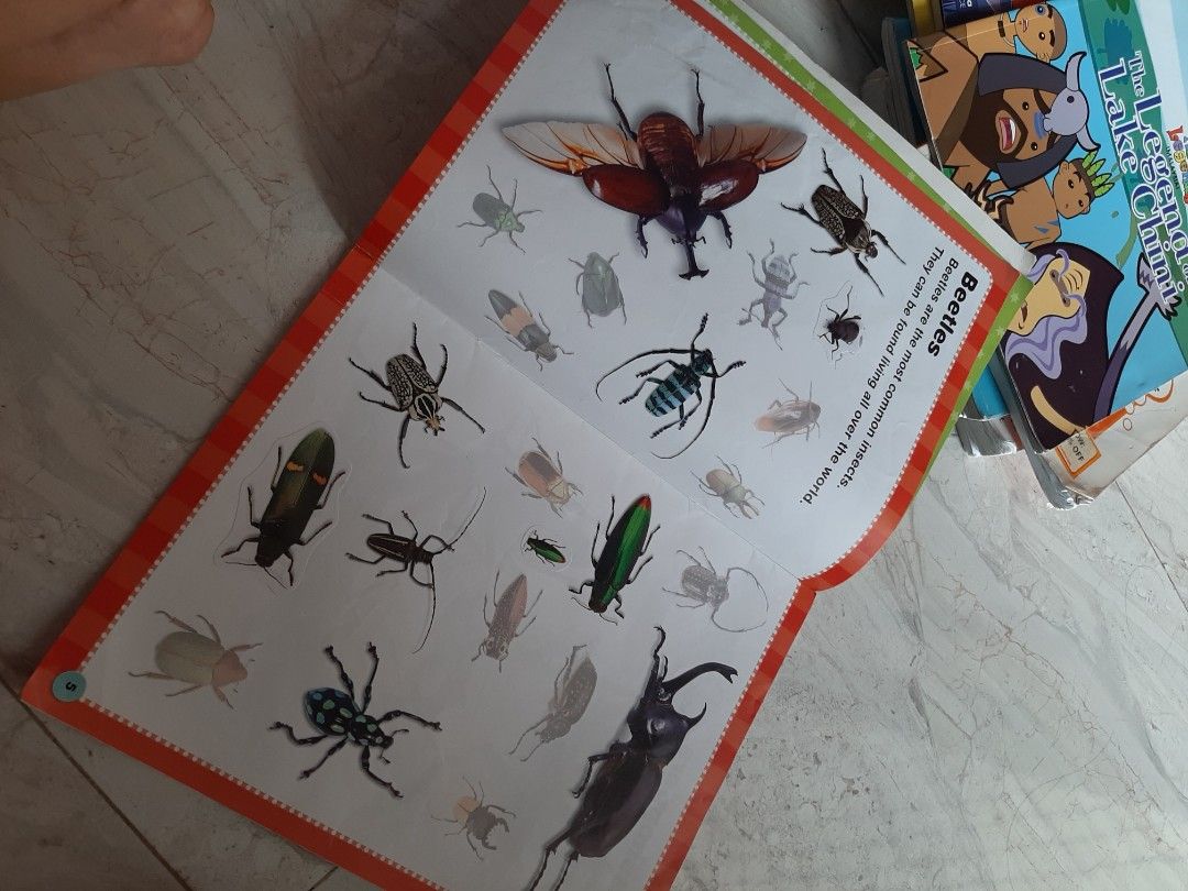 Buku insects bugs, Buku & Alat Tulis, Buku Anak-Anak di Carousell