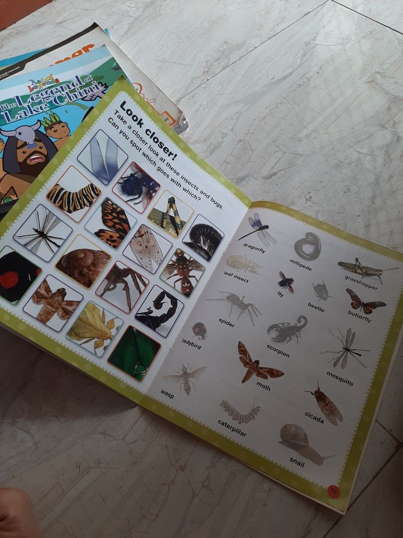 Buku insects bugs, Buku & Alat Tulis, Buku Anak-Anak di Carousell