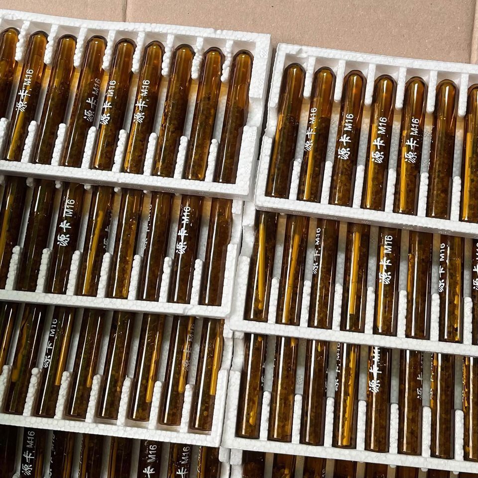 Chemical Anchor Bolt Chemical Epoxy Adhesive M10 M12 M16 M20 M24 ALL ...