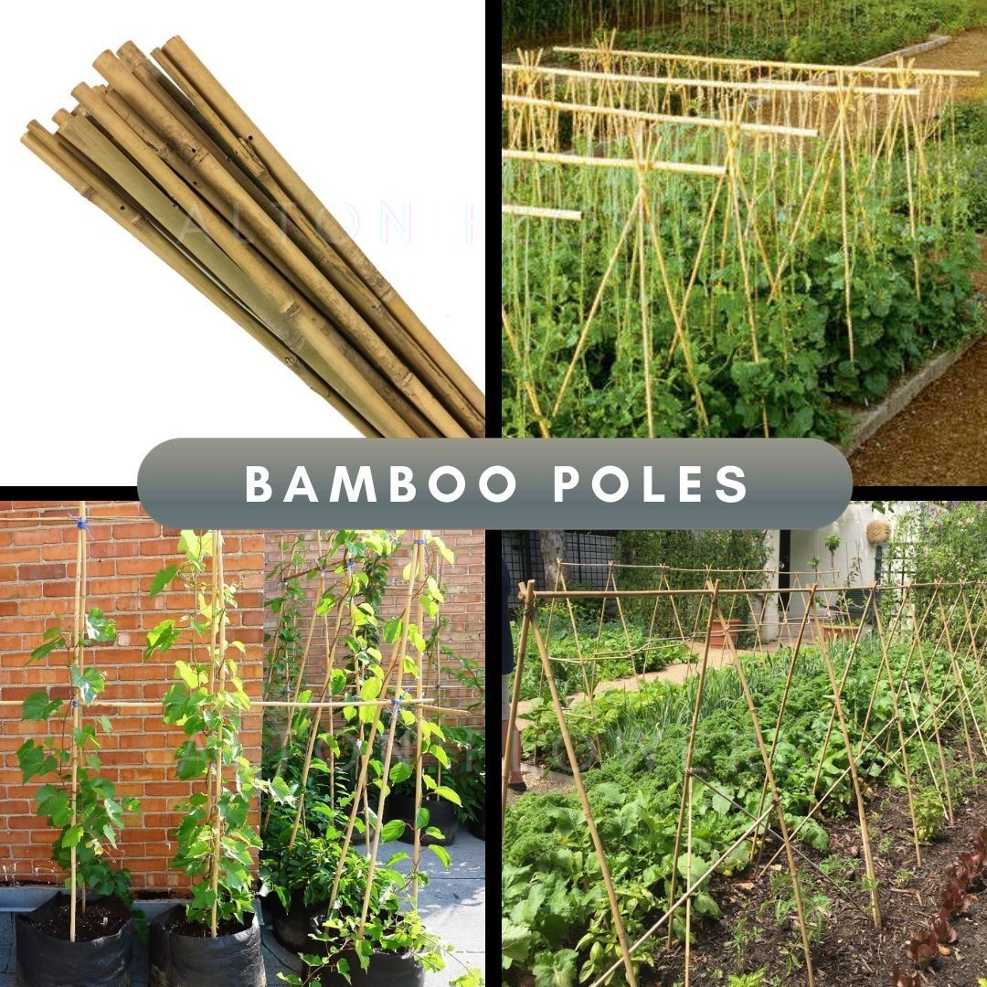 Garden Collection: Fences, Privacy Screens, Soil, Fertilizer, CocoPoles ...