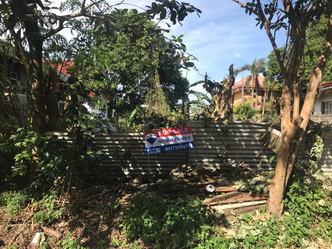 Mapayapa Village 1 Quezon City Vacant Lot For Sale, Property, For Sale ...
