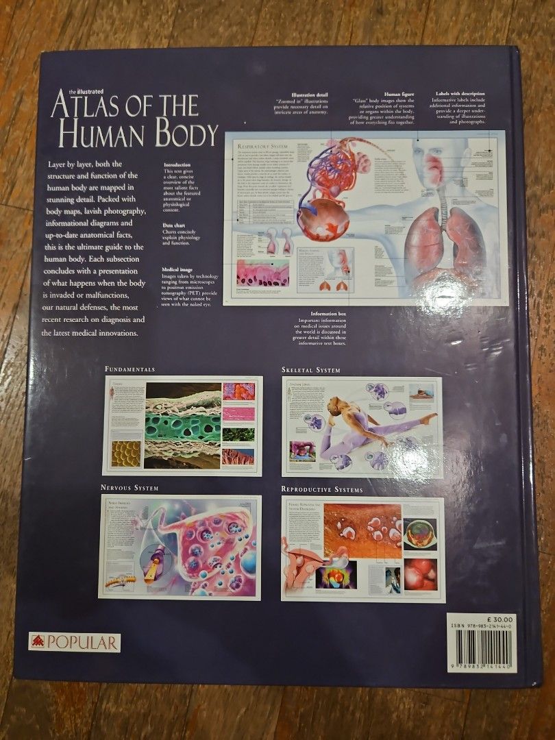 Atlas of the Human Body, Hobbies & Toys, Books & Magazines, Fiction ...