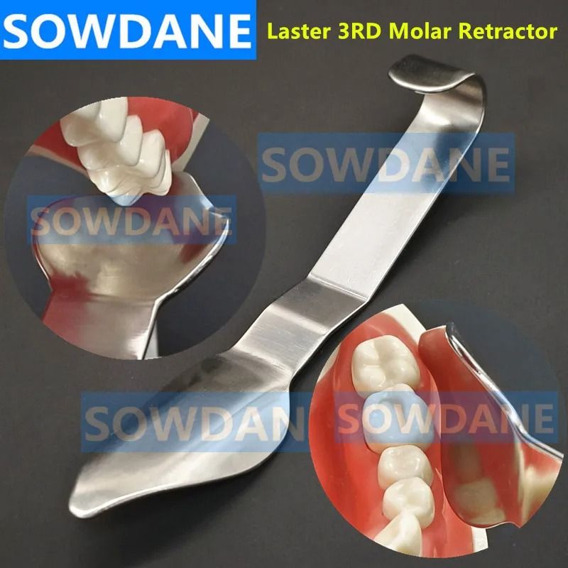 Dental Upper Molars Wisdom Teeth Retractor Laster 3rd Morlar Retractor ...