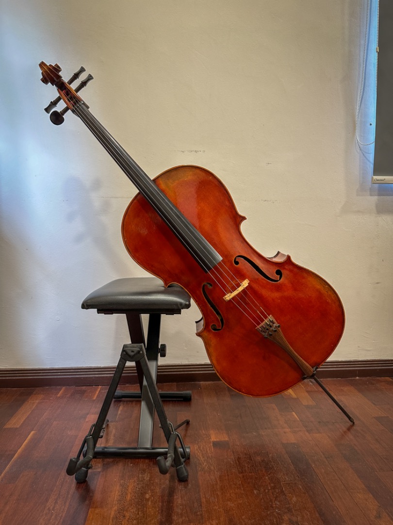 Full Sized Synwin SVC9001 Handmade Cello, Hobbies & Toys, Music & Media ...