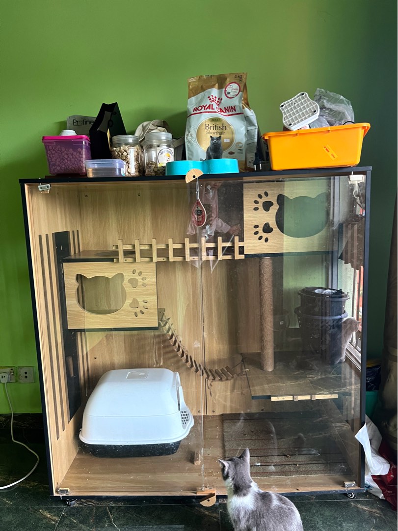 RUMAH KUCING/ VILLA KUCING, Pet Supplies, Homes & Other Pet Accessories ...